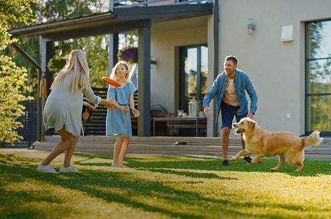 Home - Deep Blue Company